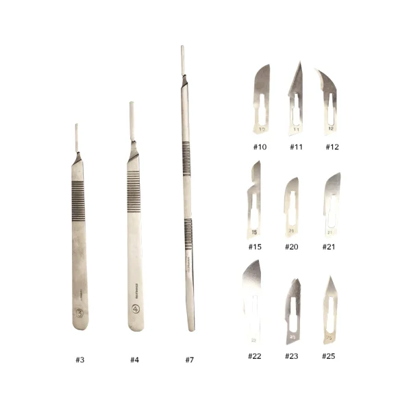 BLADE SURGICAL W/HANDLE #12 - شركة الرعاية المتجددة الطبية